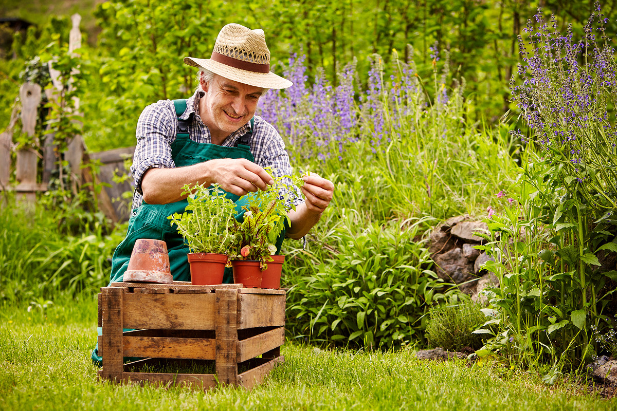 Мой результат: Гуру огорода — Ботаничка